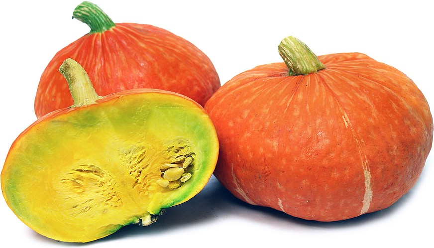 Fall Squash Varieties (and how to cook them) – Arkansas Local Food Network